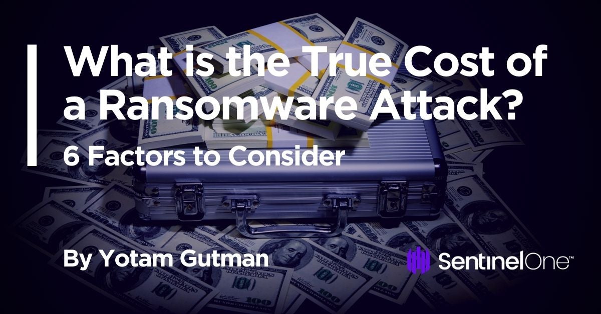 What is the True Cost of a Ransomware Attack? | 6 Factors to Consider ...