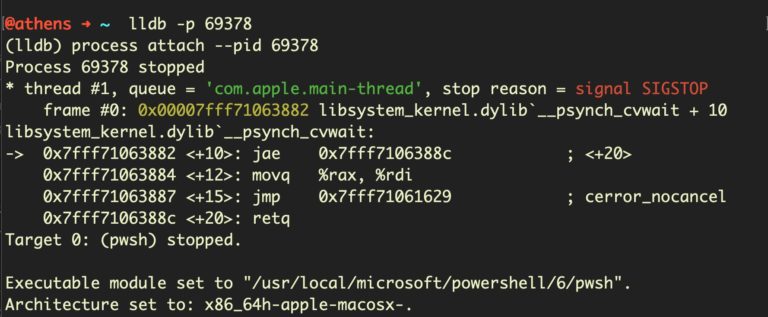Hackers on Macs: Must-Have Apps & Tools | SentinelOne