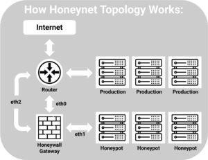 What is Honeypot? Working, Types & Benefits
