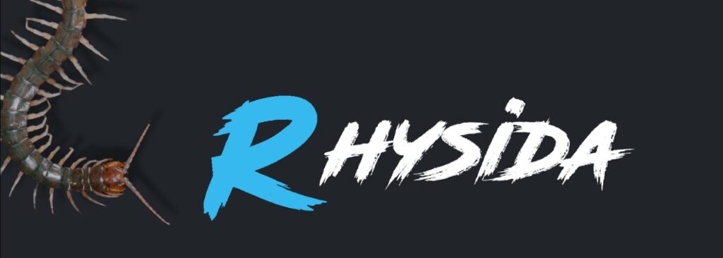 Rhysida Ransomware: In-Depth Analysis, Detection, Mitigation