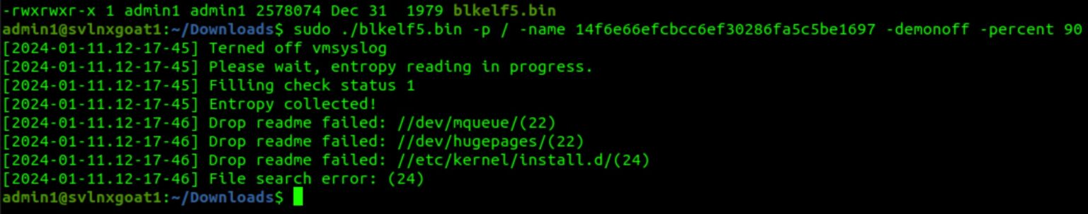 BlackSuit Ransomware: Analysis, Detection, and Mitigation