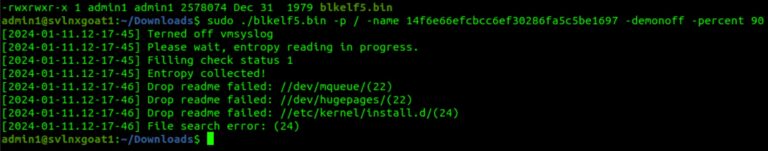 BlackSuit Ransomware: Analysis, Detection, and Mitigation