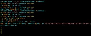 XZ Utils Backdoor | Threat Actor Planned to Inject Further Vulnerabilities