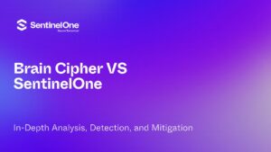 Brain Cipher Ransomware: Analysis, Detection, and Mitigation