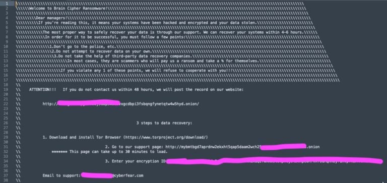 Brain Cipher Ransomware: Analysis, Detection, and Mitigation