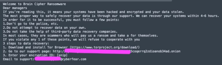Brain Cipher Ransomware: Analysis, Detection, and Mitigation