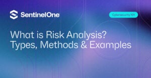 What is Risk Analysis? Types, Methods & Examples | SentinelOne