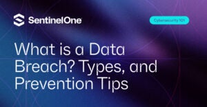 What is a Data Breach? Types, and Prevention Tips