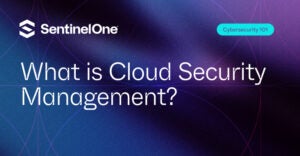 Cloud Security Management: Types & Strategies