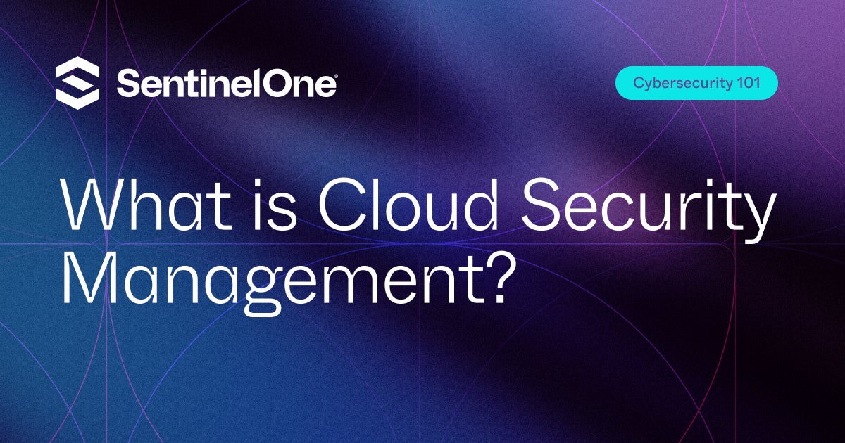 Cloud Security Management: Types & Strategies