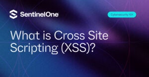 What is Cross Site Scripting (XSS)?