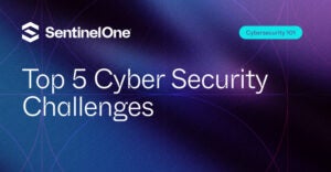 Top 5 Cyber Security Challenges | SentinelOne