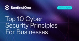 Top 10 Cyber Security Principles For Businesses