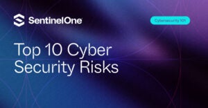 Top 10 Cyber Security Risks