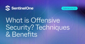 What is Offensive Security? Techniques & Benefits
