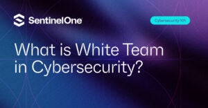 What is White Team in Cybersecurity? | SentinelOne