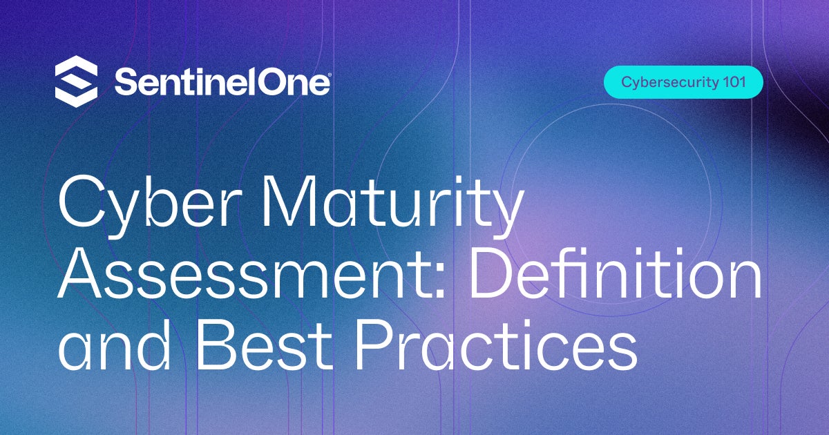 Cyber Maturity Assessment: Definition and Best Practices