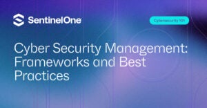 Cyber Security Management: Frameworks and Best Practices
