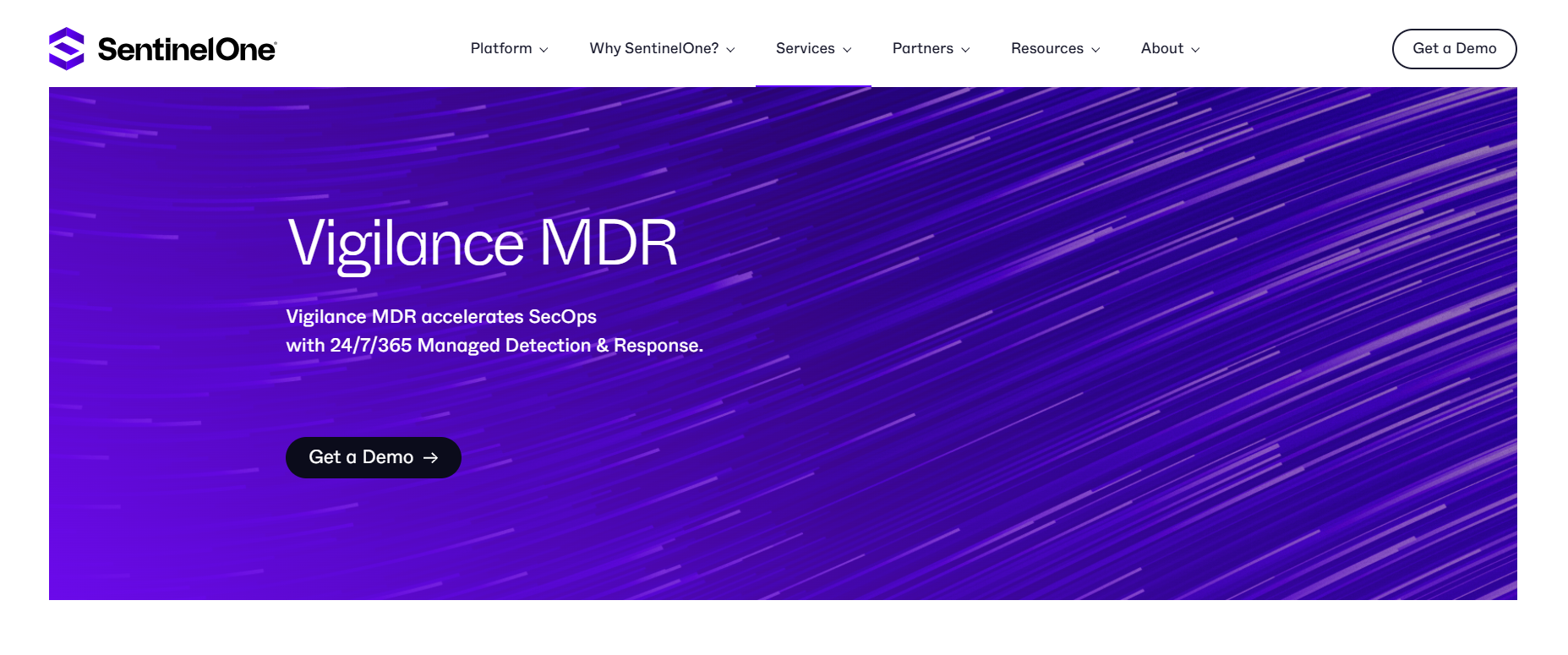 Top 10 MDR Solutions for 2025