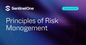 6 Principles of Risk Management