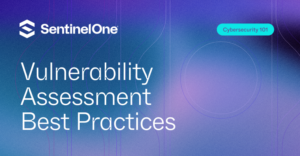 Top 10 Vulnerability Assessment Best Practices | SentinelOne