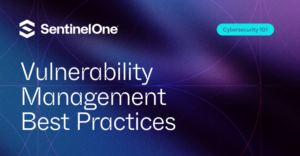 10 Vulnerability Management Best Practices | SentinelOne