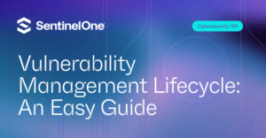 Vulnerability Management Lifecycle: An Easy Guide | SentinelOne