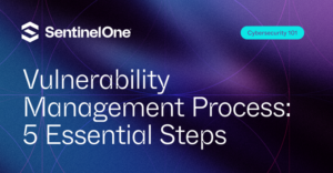 Vulnerability Management Process: 5 Essential Steps | SentinelOne
