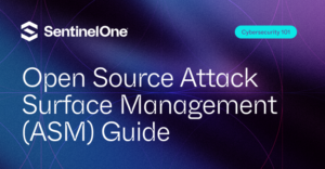 Open Source Attack Surface Management (ASM) Guide | SentinelOne