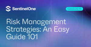 Risk Management Strategies: An Easy Guide 101 | SentinelOne
