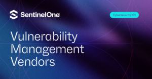 9 Vulnerability Management Vendors in 2025 | SentinelOne